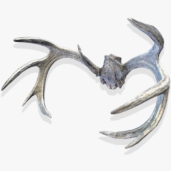 3D Antlers Models | TurboSquid