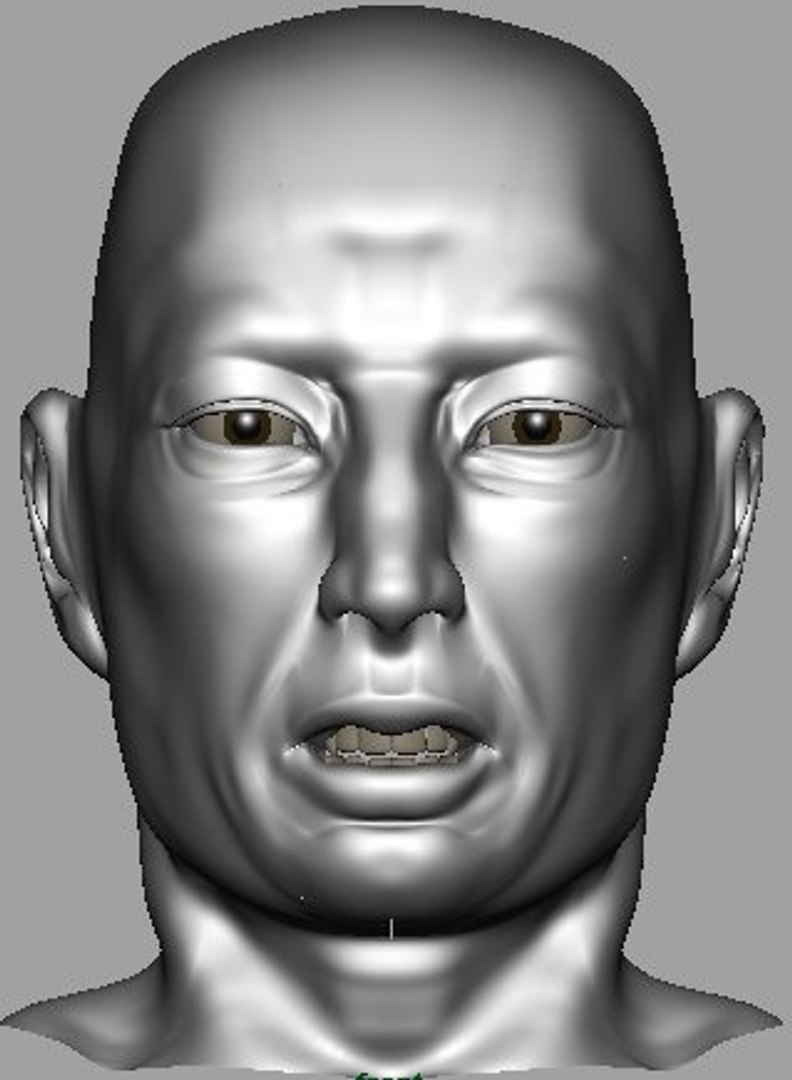 3d Head Model