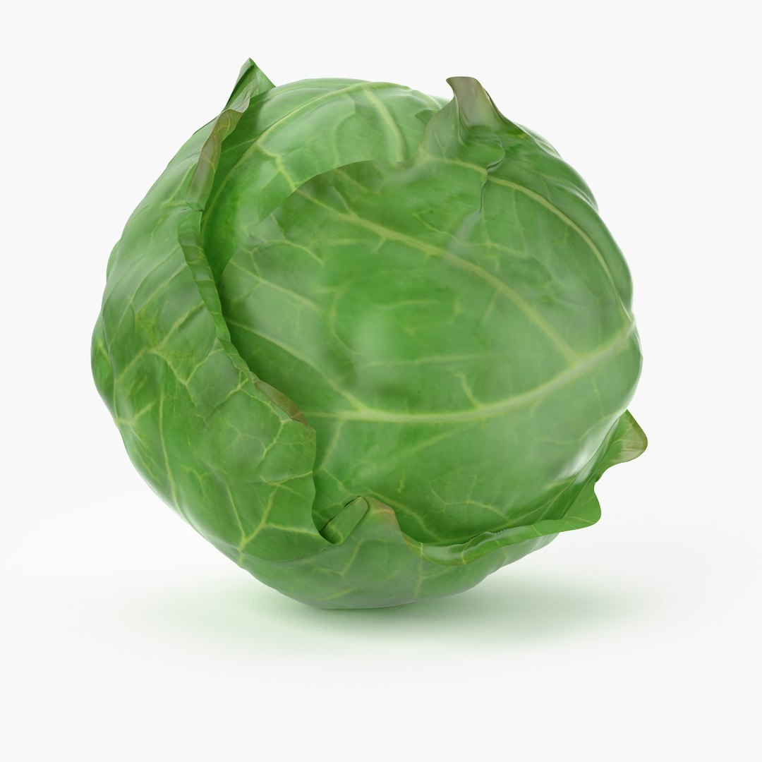 3ds Max Realistic Cabbage Real Vegetables