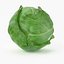 3ds Max Realistic Cabbage Real Vegetables