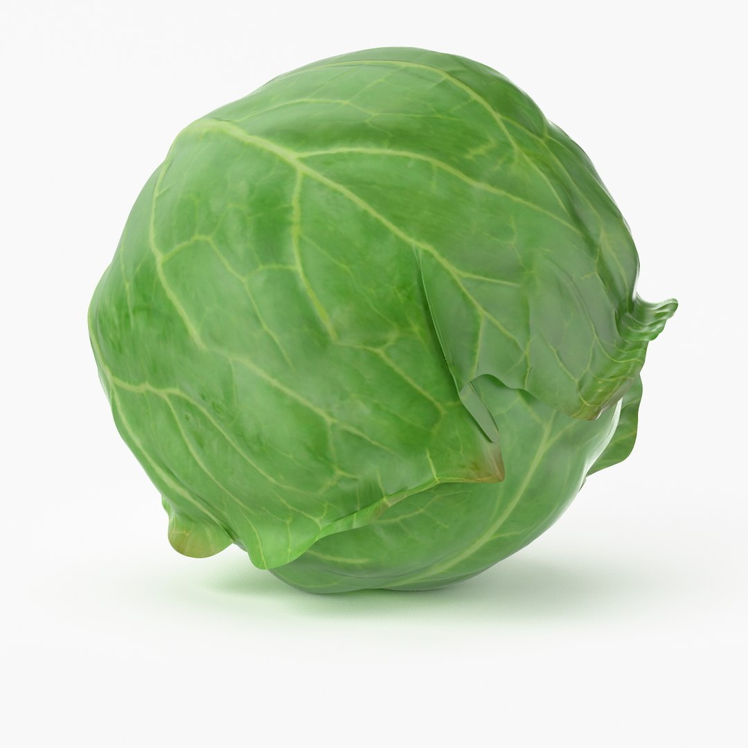 3ds Max Realistic Cabbage Real Vegetables