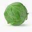 3ds Max Realistic Cabbage Real Vegetables