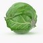 3ds Max Realistic Cabbage Real Vegetables