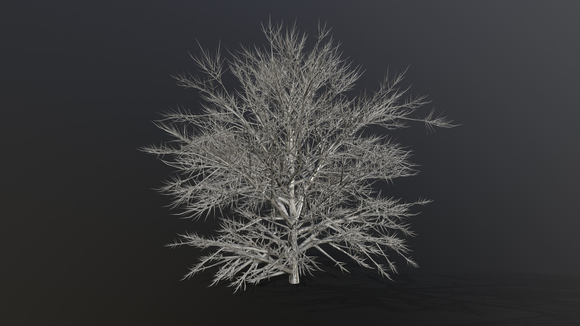 Dry Bush 3D Model - TurboSquid 1934530