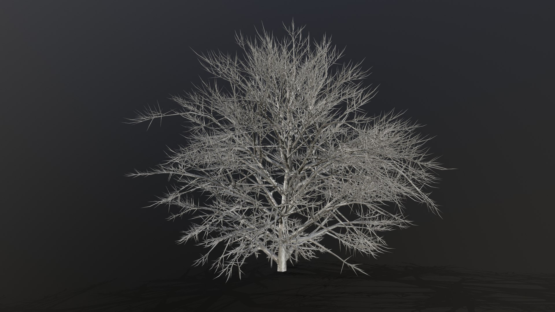 Dry Bush 3D Model - TurboSquid 1934530