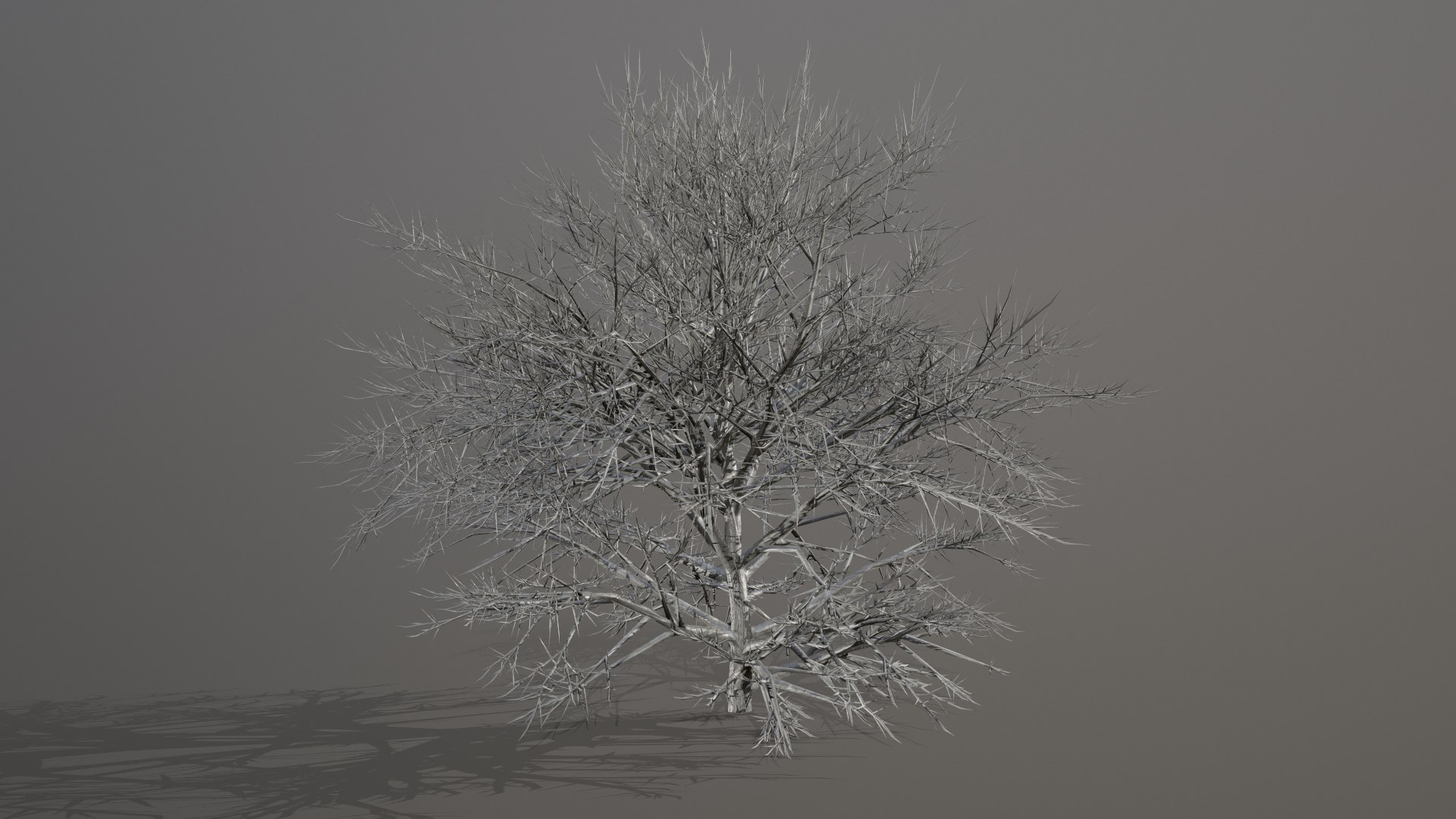 Dry Bush 3D Model - TurboSquid 1934530