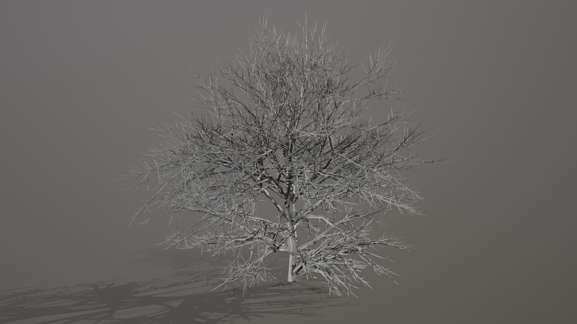 Dry Bush 3D Model - TurboSquid 1934530