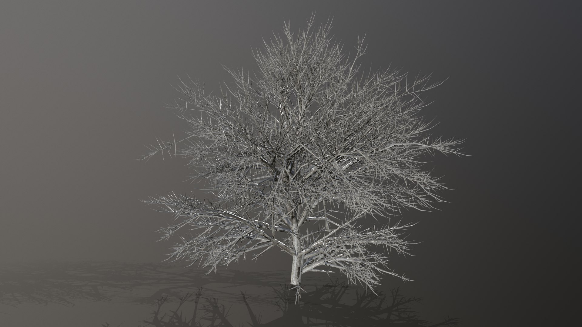 Dry Bush 3D Model - TurboSquid 1934530