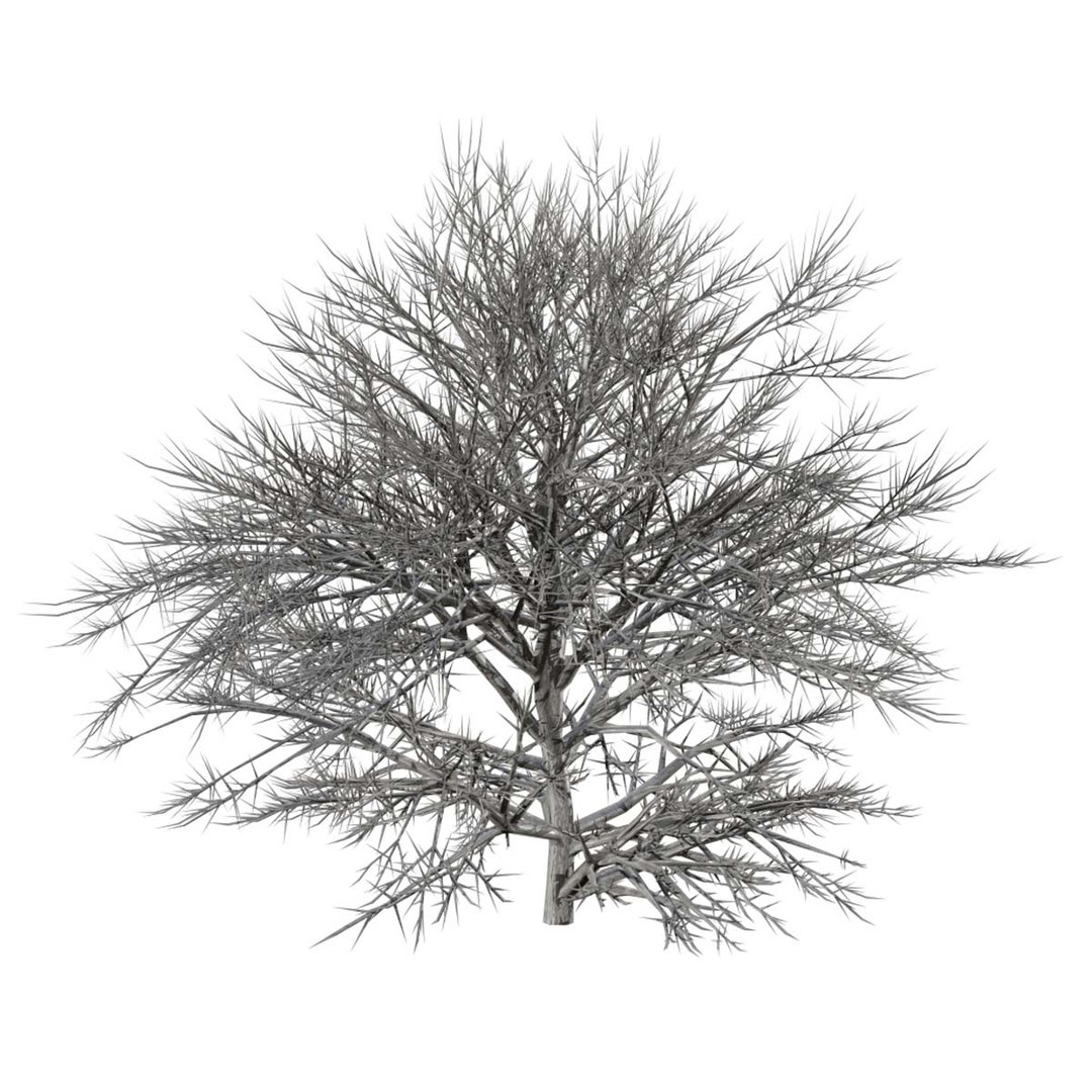Dry Bush 3D Model - TurboSquid 1934530