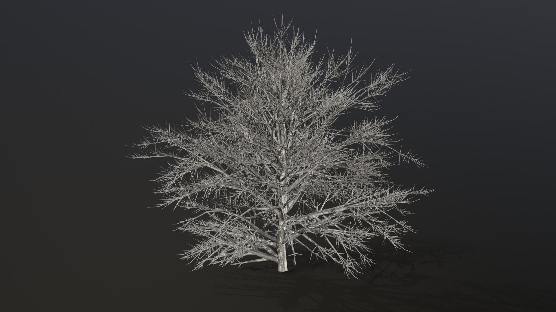 Dry Bush 3D Model - TurboSquid 1934530