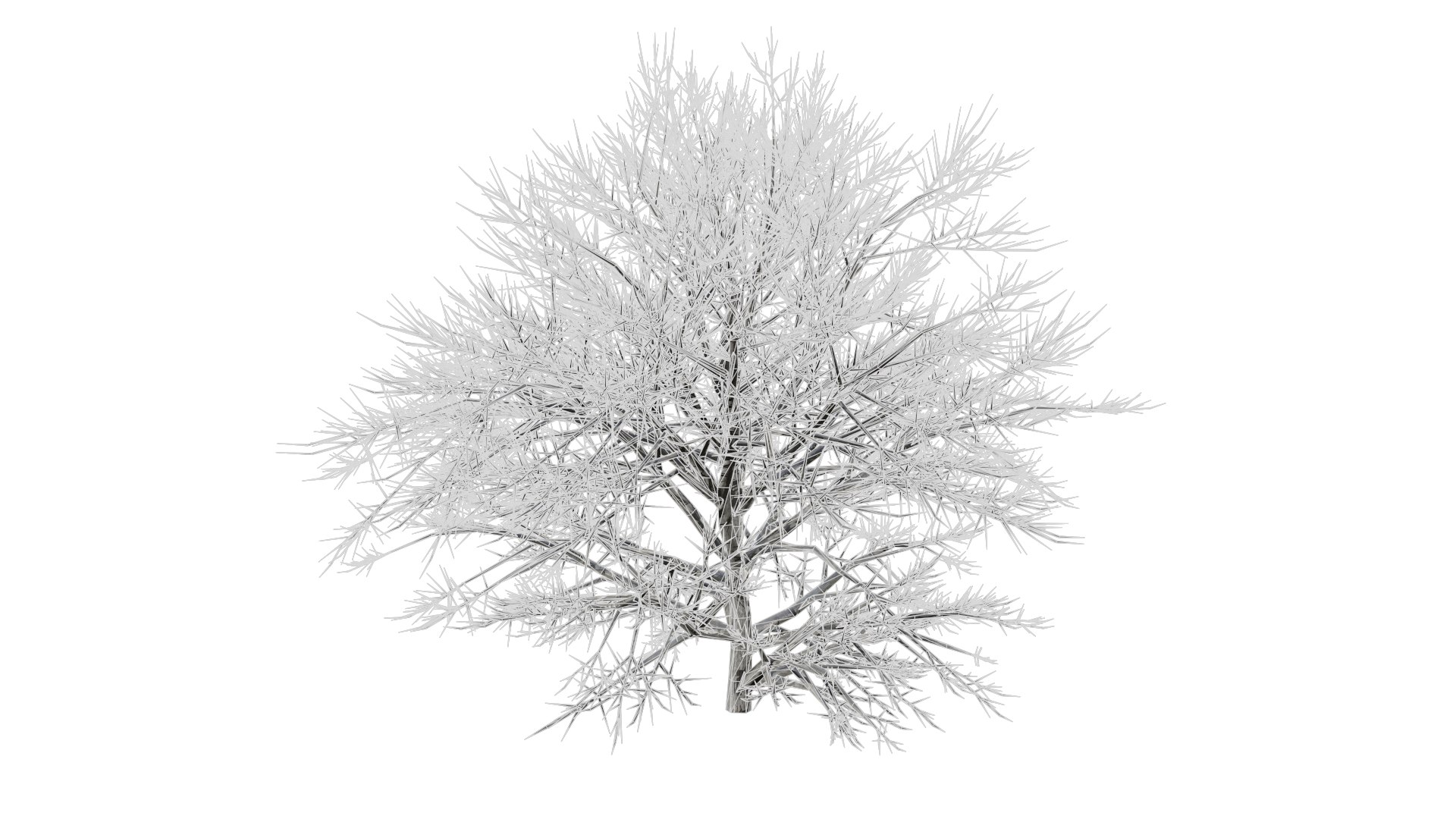 Dry Bush 3D Model - TurboSquid 1934530