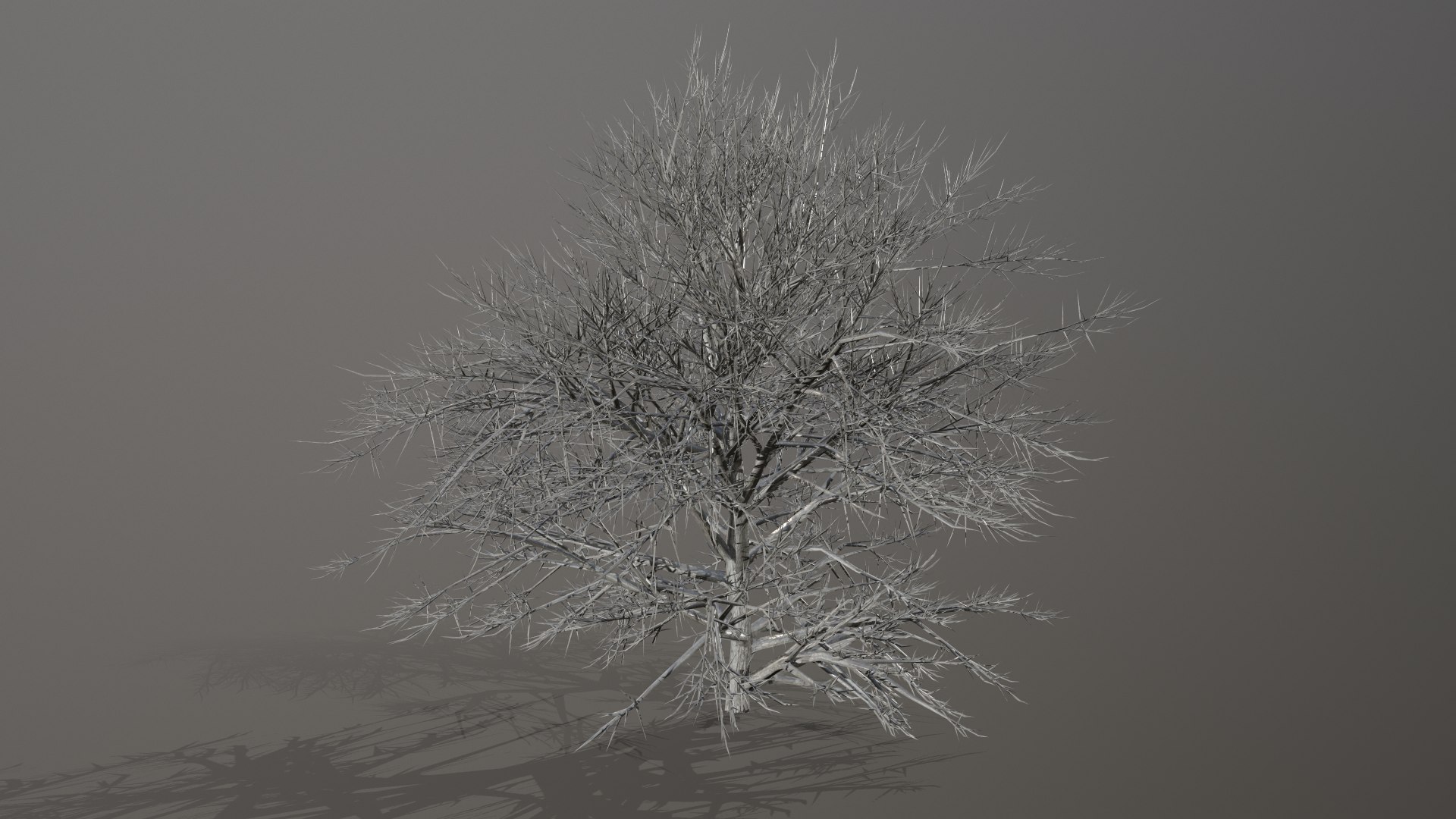 Dry Bush 3D Model - TurboSquid 1934530
