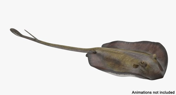 3d model stingray rigged