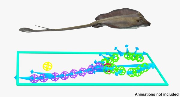 3d model stingray rigged