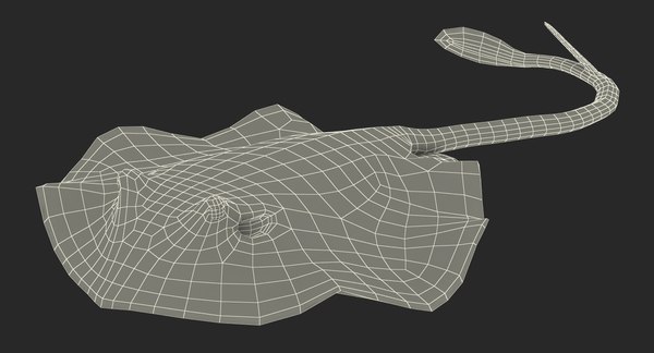 3d model stingray rigged