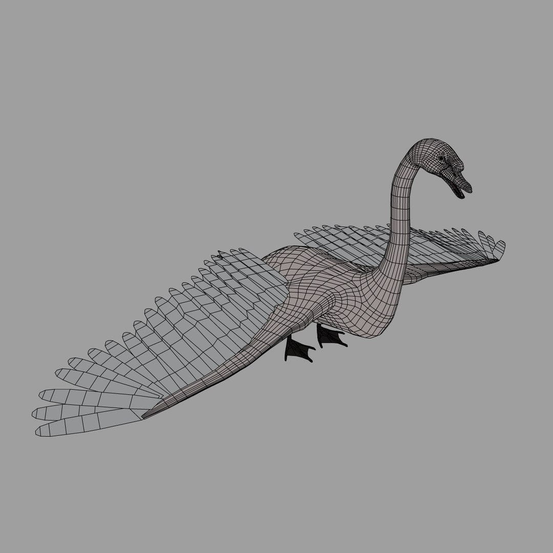 Swan Animators 3d Model