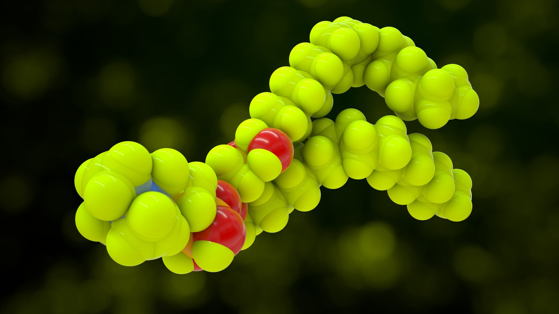 Lipids 3D Model - TurboSquid 2187983