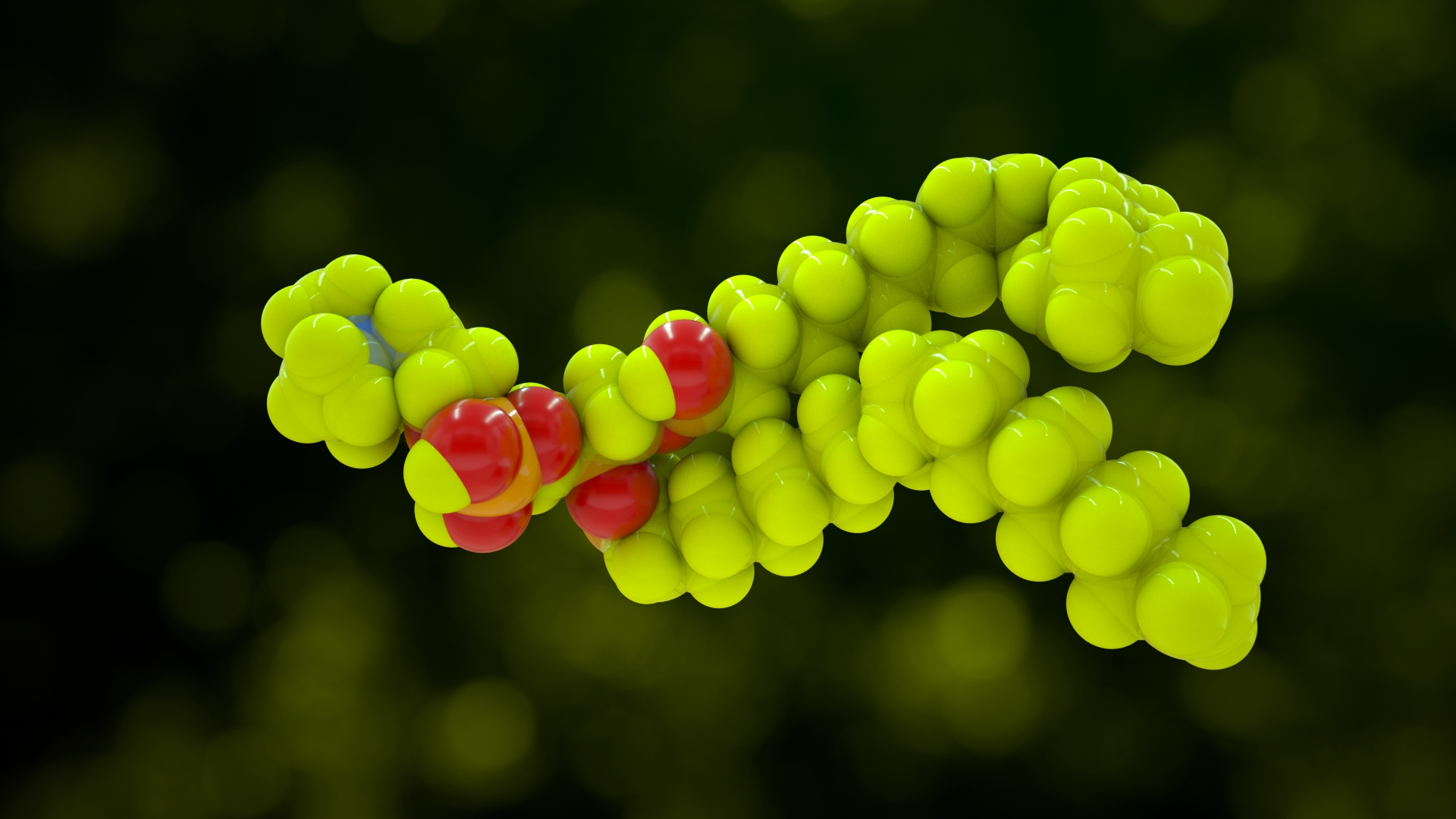 Lipids 3D Model - TurboSquid 2187983