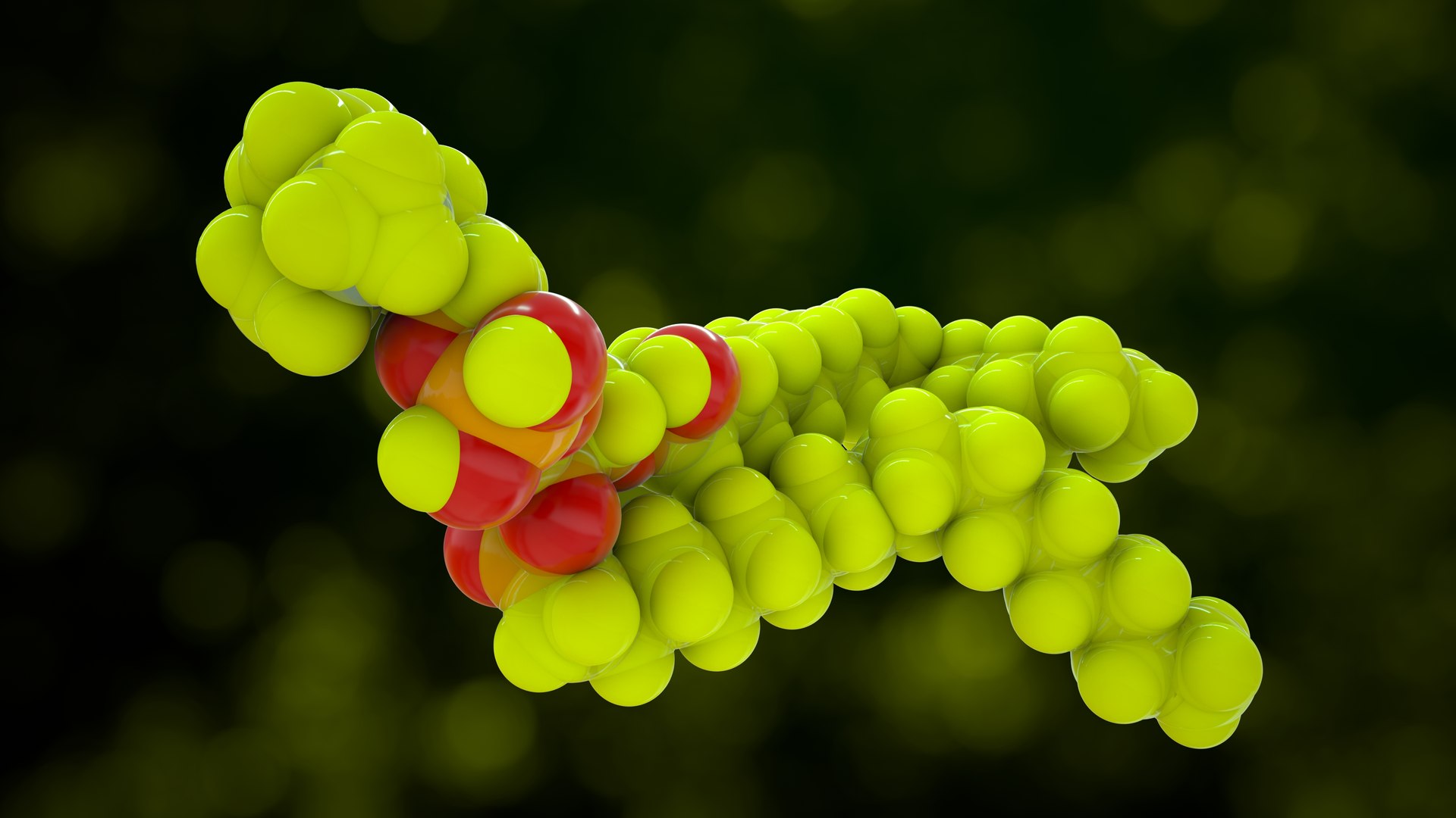 Lipids 3D Model - TurboSquid 2187983