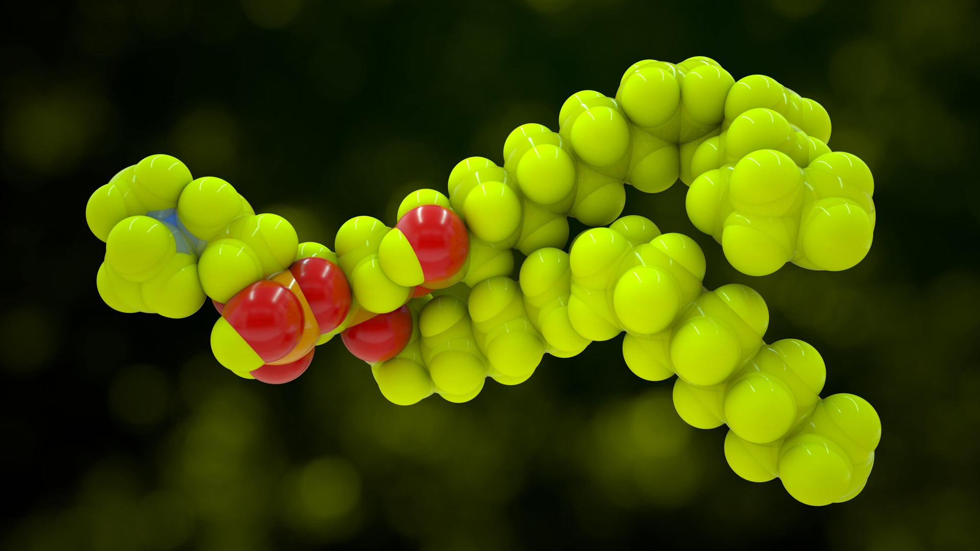 Lipids 3D Model - TurboSquid 2187983