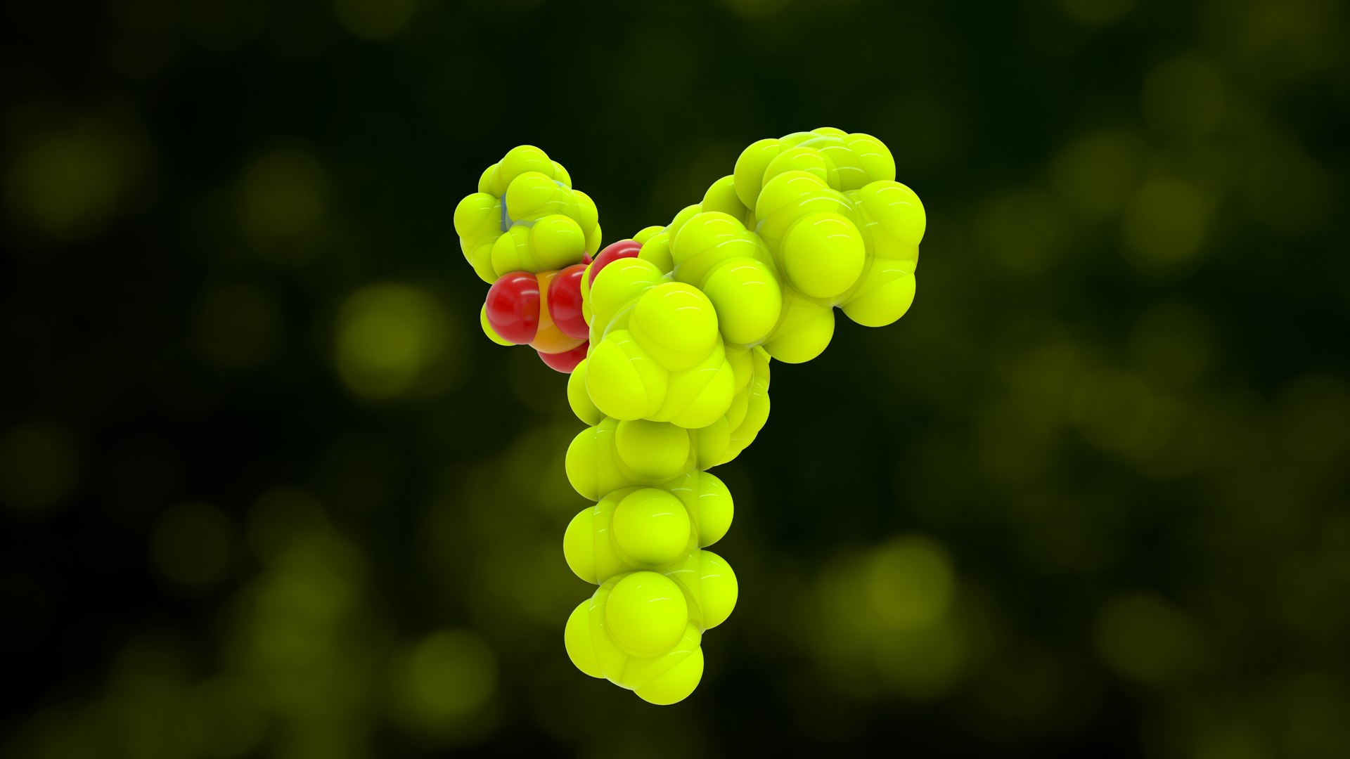 Lipids 3D Model - TurboSquid 2187983