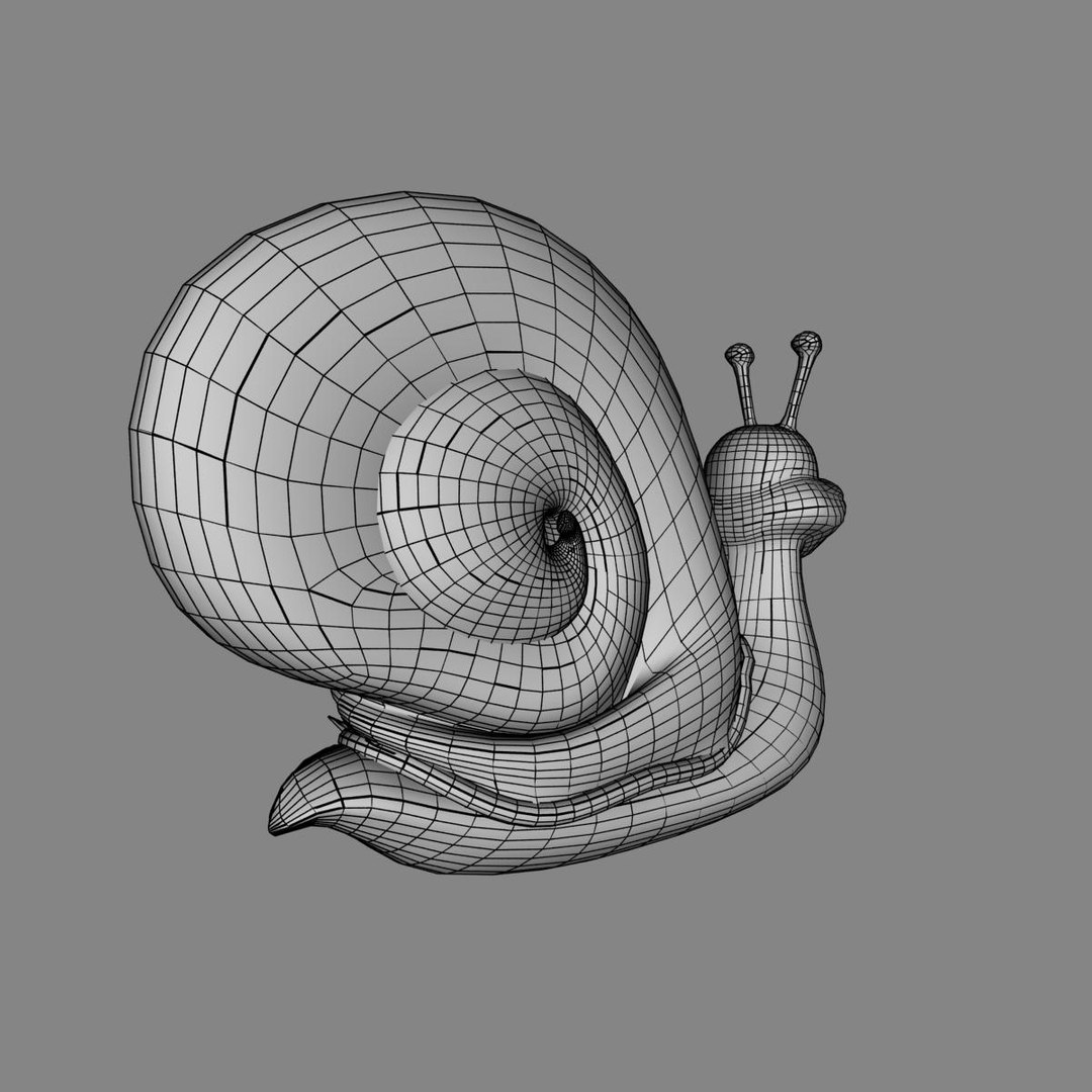 3d Snail Animation Model
