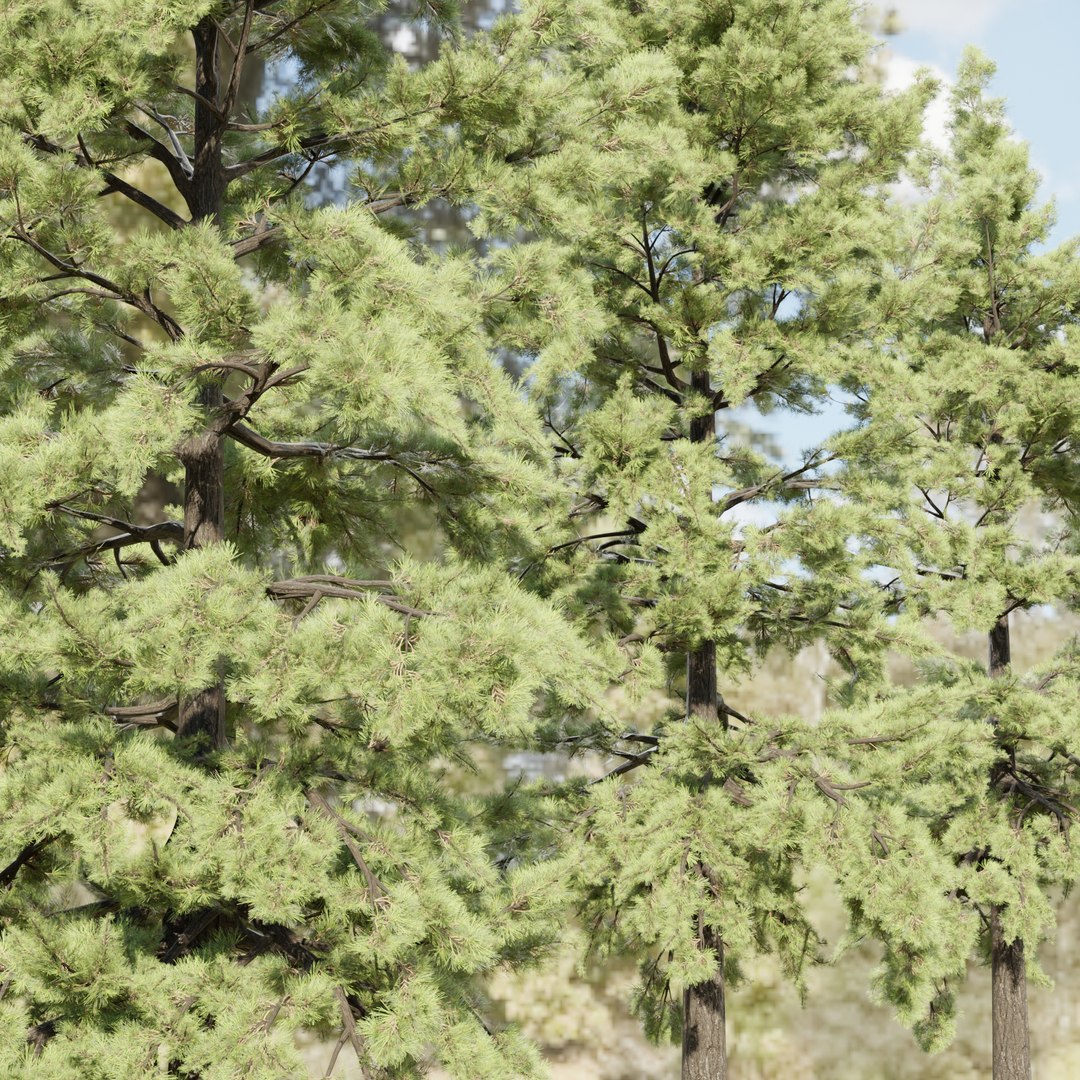 Pine Trees Collection Vol 102-Blender 3D - TurboSquid 2134657