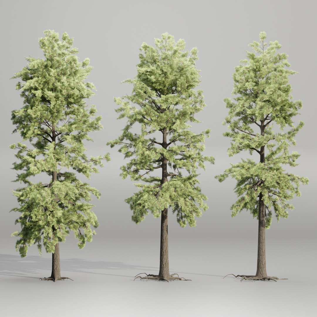 Pine Trees Collection Vol 102-Blender 3D - TurboSquid 2134657