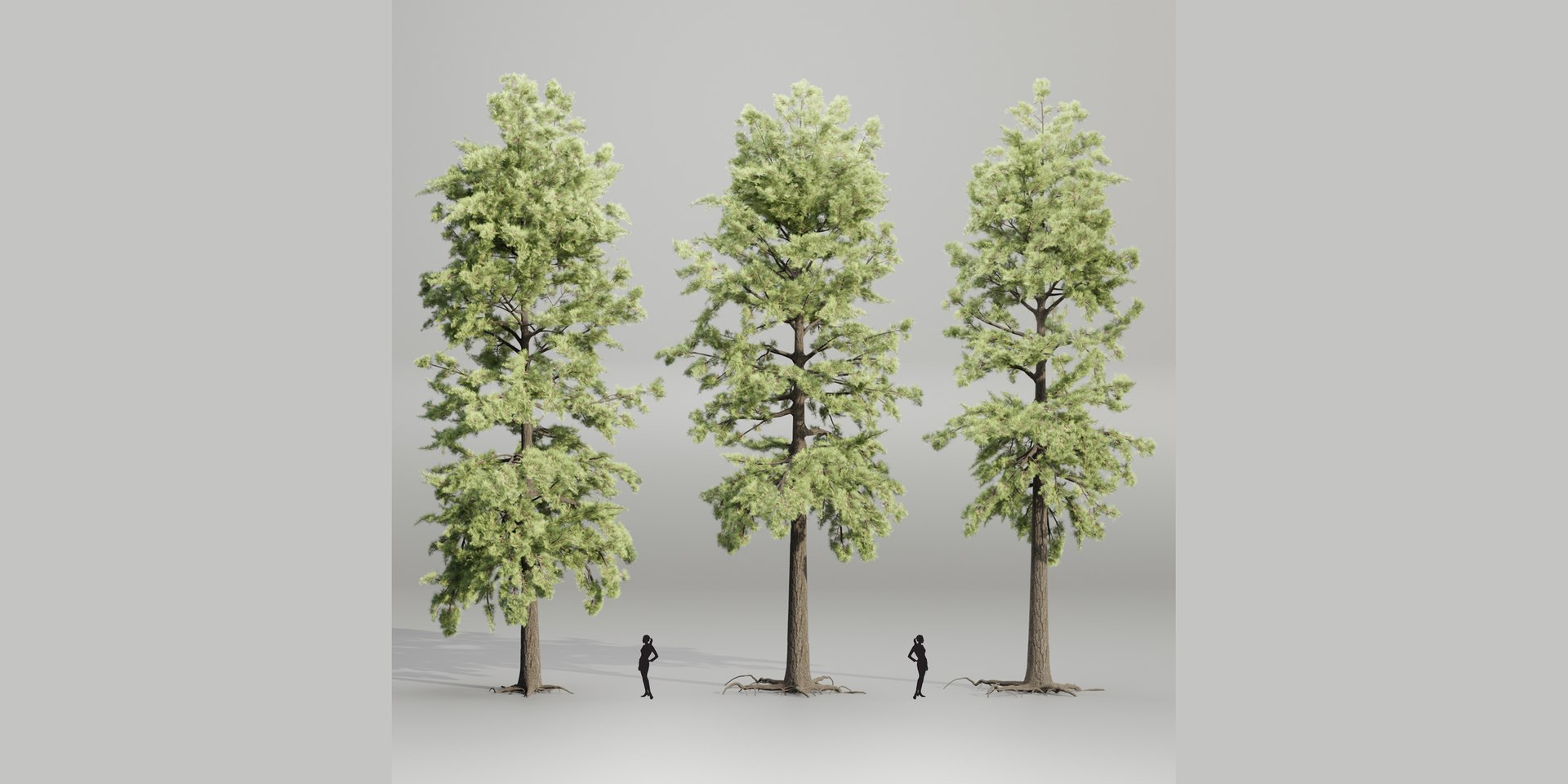 Pine Trees Collection Vol 102-Blender 3D - TurboSquid 2134657