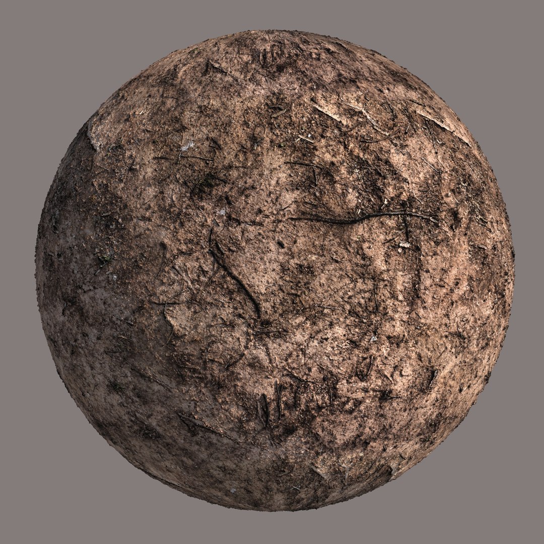 3D Photoscan Material - Forest Dry Dirt - 120cm - TurboSquid 1996323