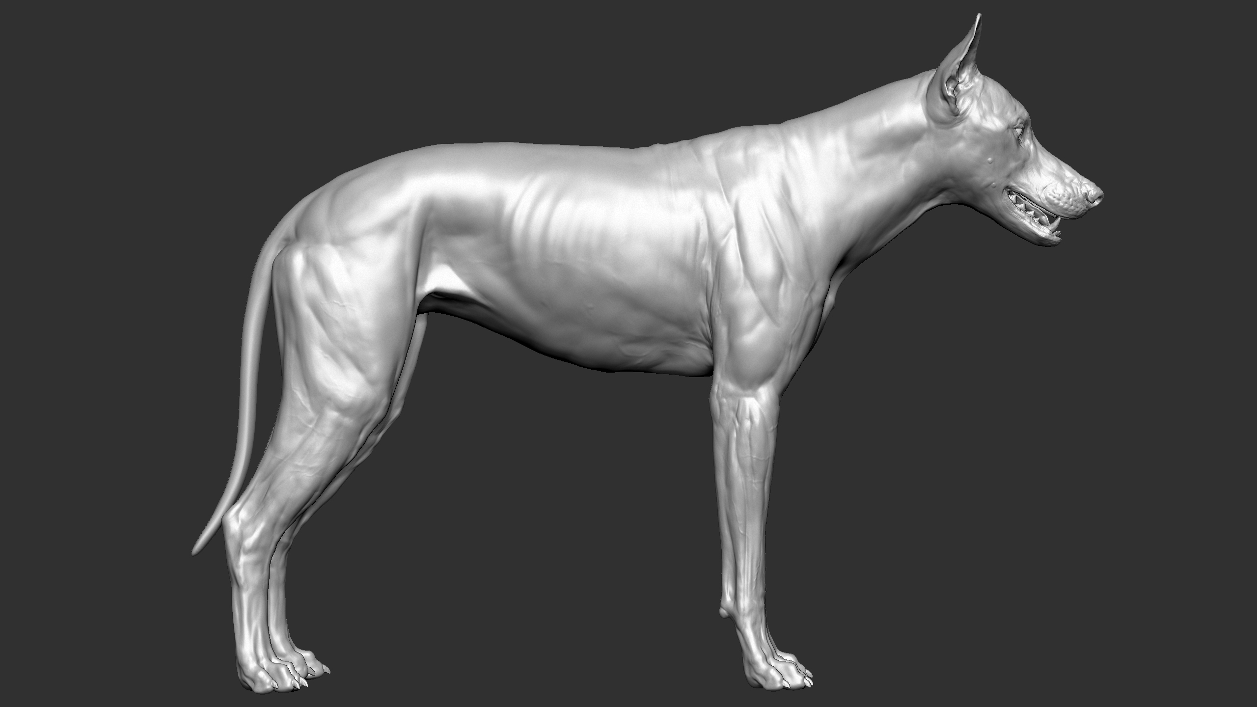 Wolf VFX MUSCLE SIMulation 3D - TurboSquid 1909037