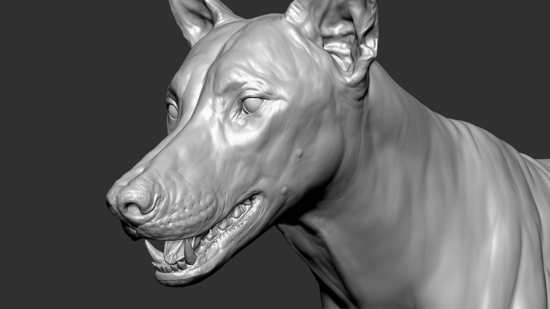 Wolf VFX MUSCLE SIMulation 3D - TurboSquid 1909037