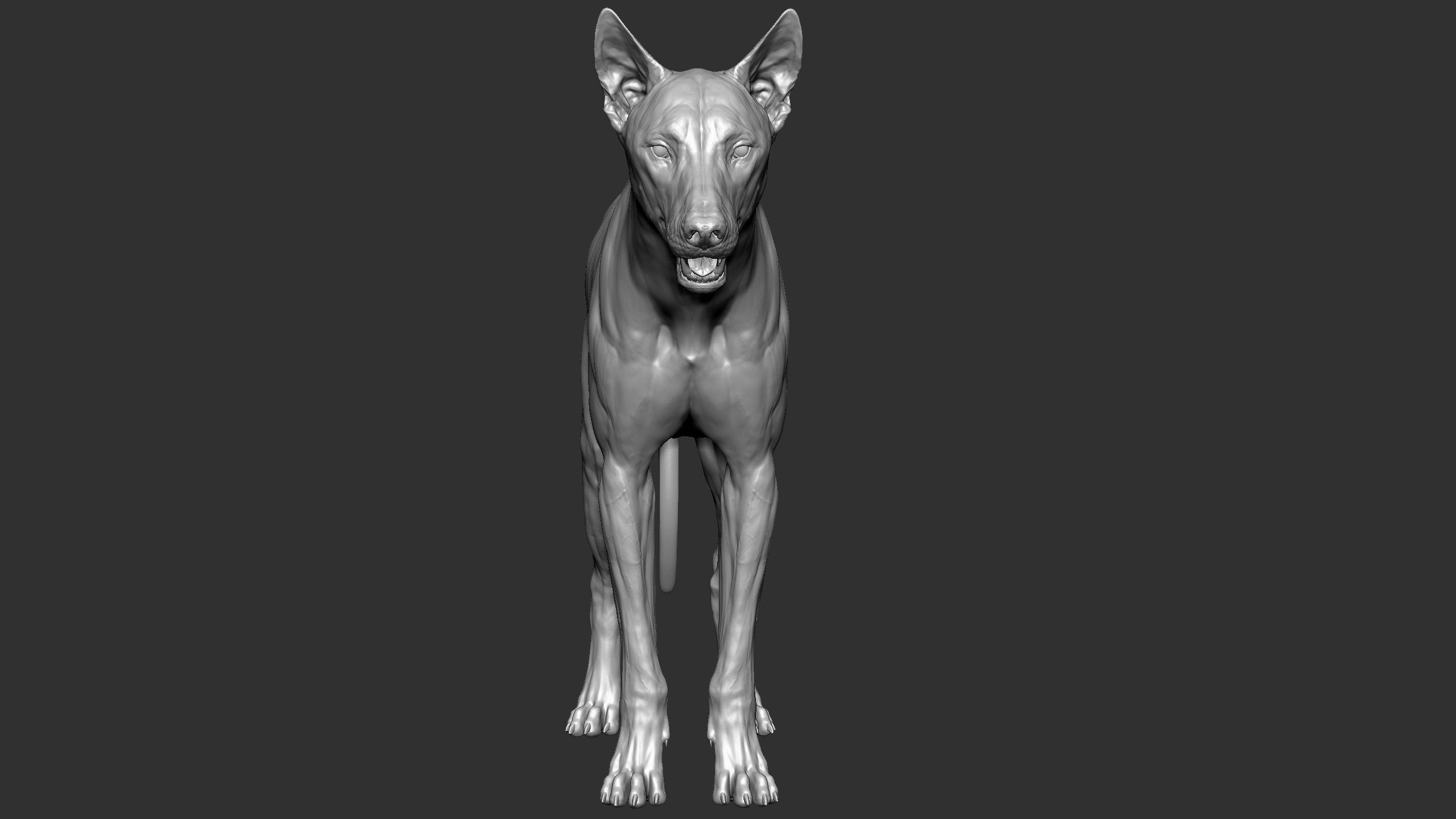 Wolf VFX MUSCLE SIMulation 3D - TurboSquid 1909037