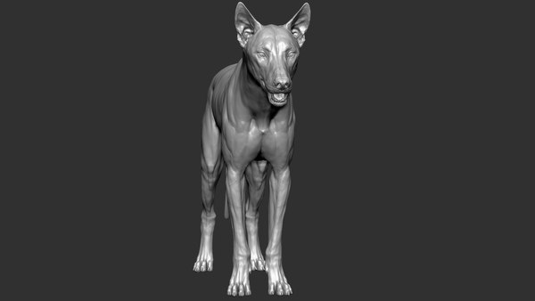 Wolf VFX MUSCLE SIMulation 3D - TurboSquid 1909037