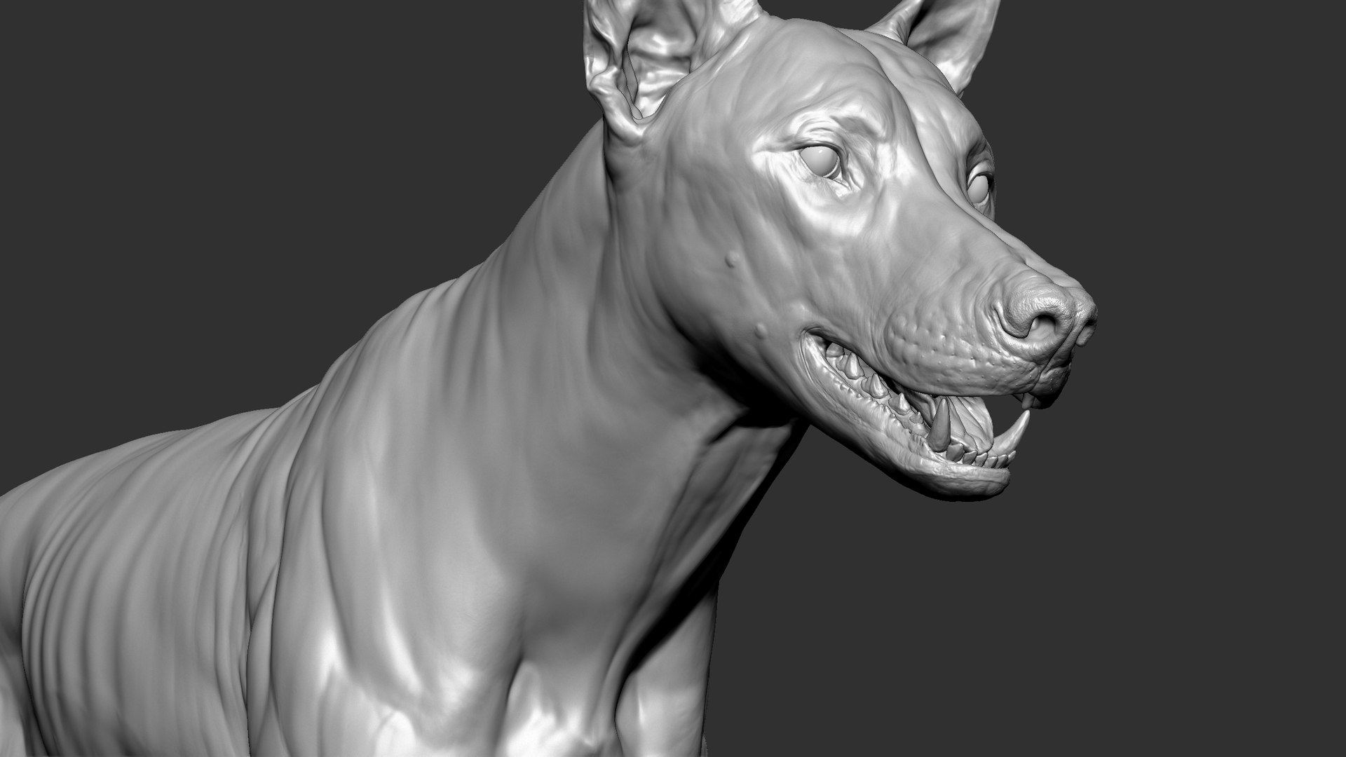 Wolf VFX MUSCLE SIMulation 3D - TurboSquid 1909037