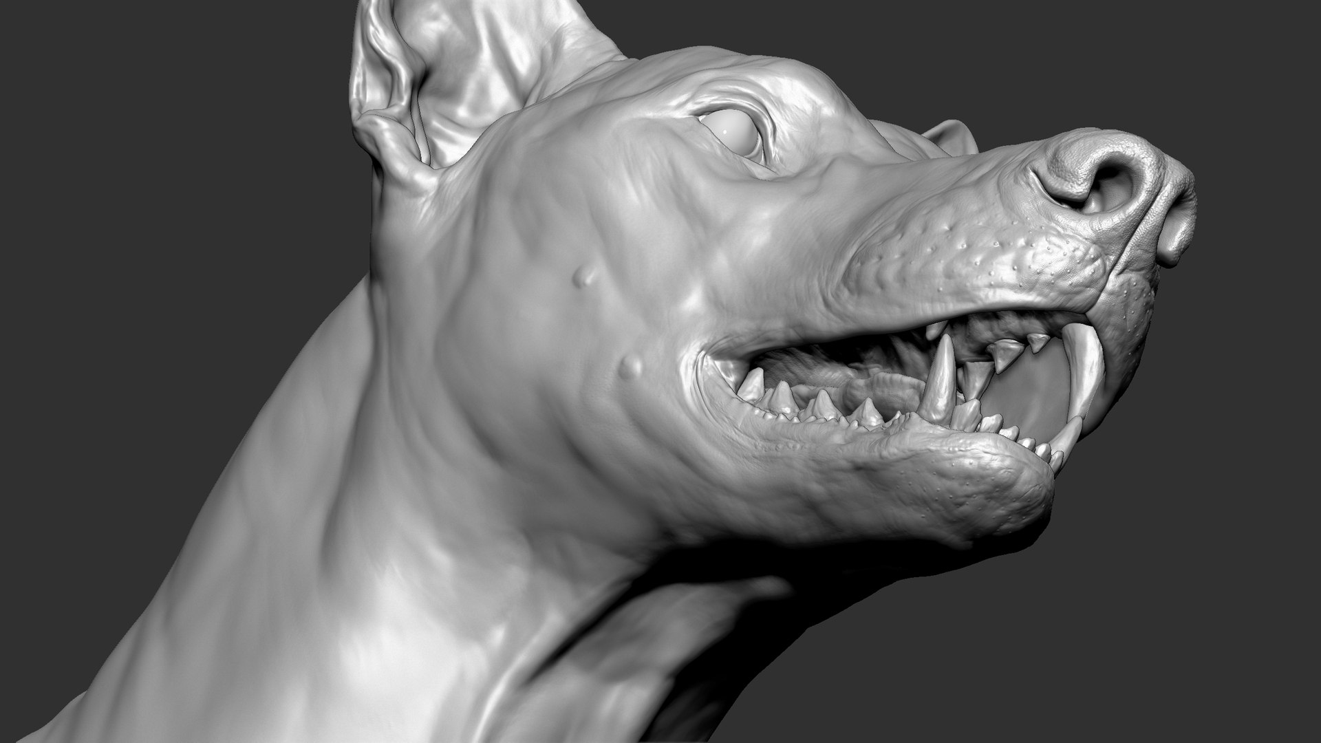 Wolf VFX MUSCLE SIMulation 3D - TurboSquid 1909037