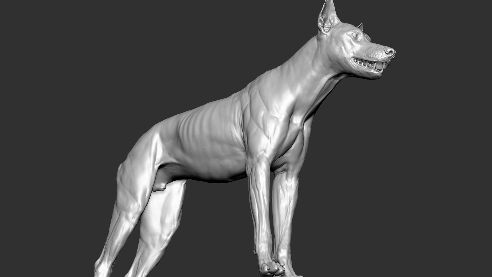 Wolf VFX MUSCLE SIMulation 3D - TurboSquid 1909037