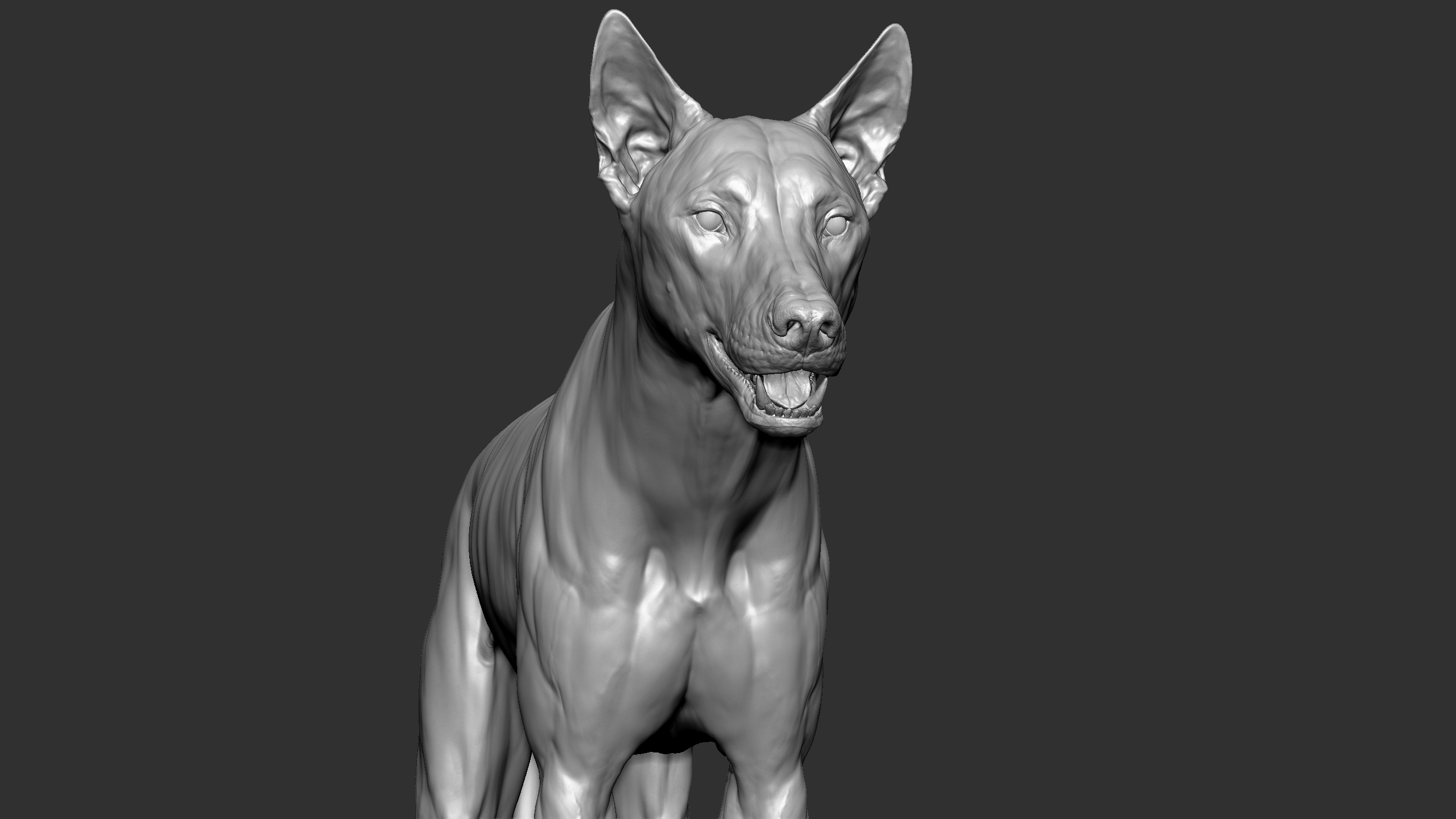 3D модель wolf VFX MUSCLE SIMulation - TurboSquid 1909037