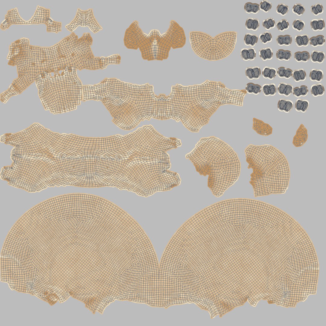 Skull Bone Head Model - TurboSquid 1518694
