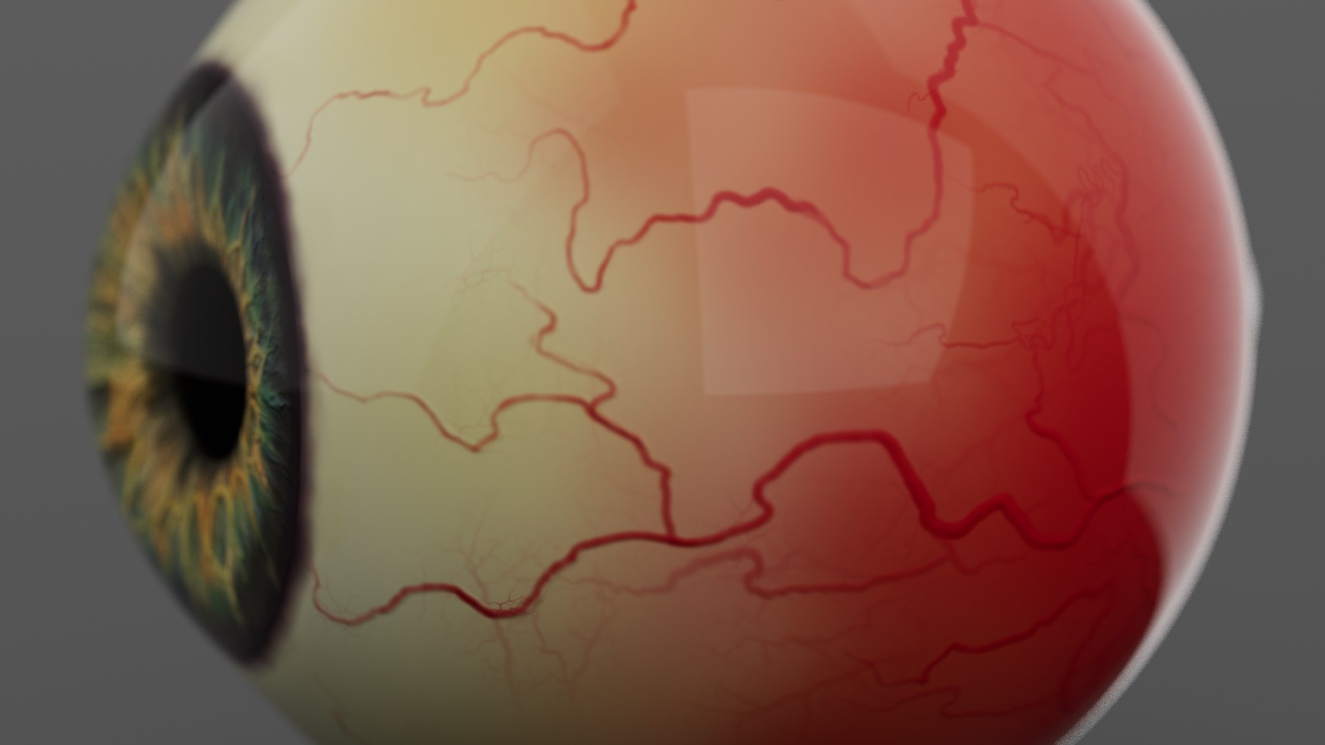 Human Eye 3D - TurboSquid 2167897