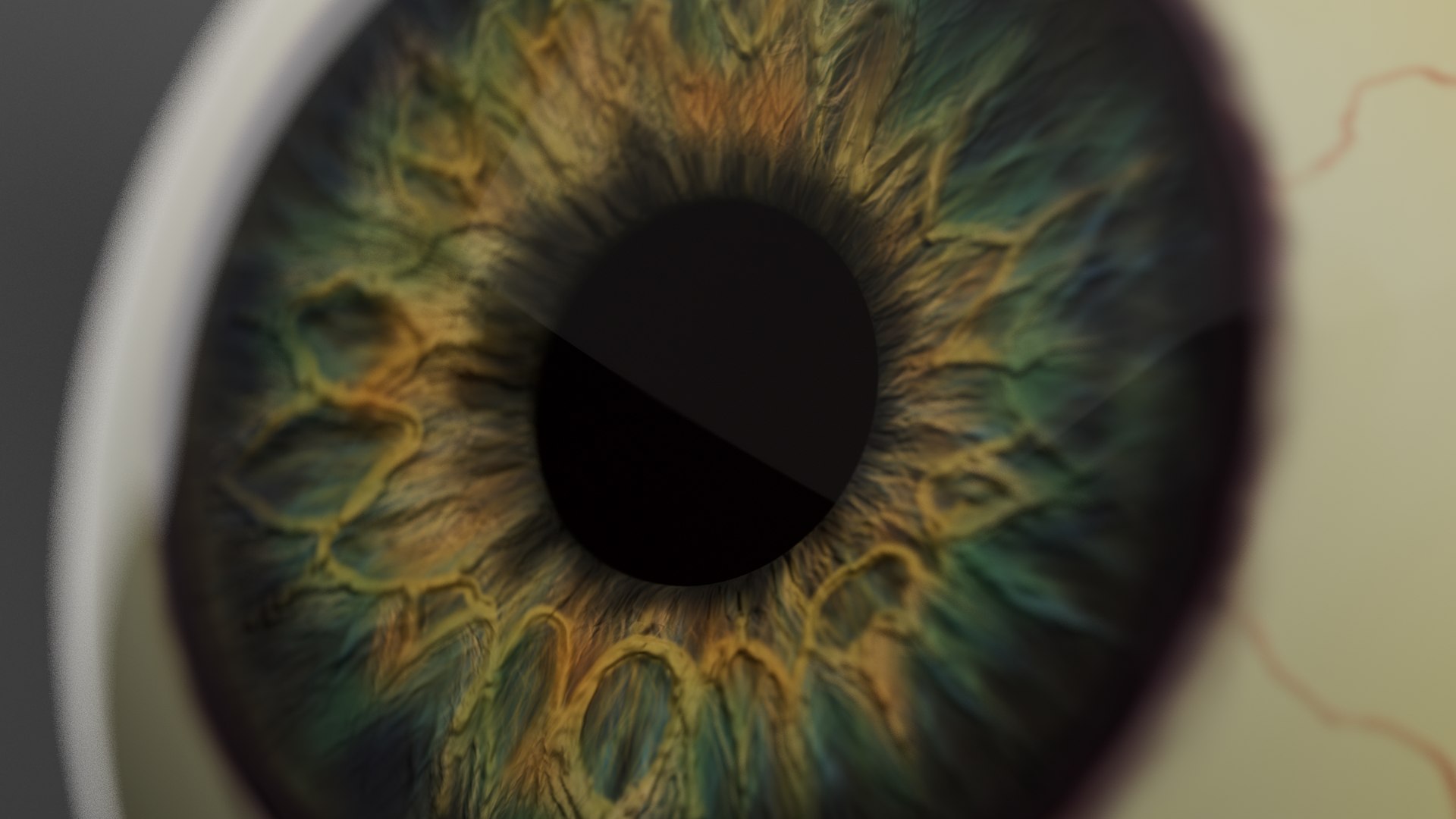 Human Eye 3D - TurboSquid 2167897