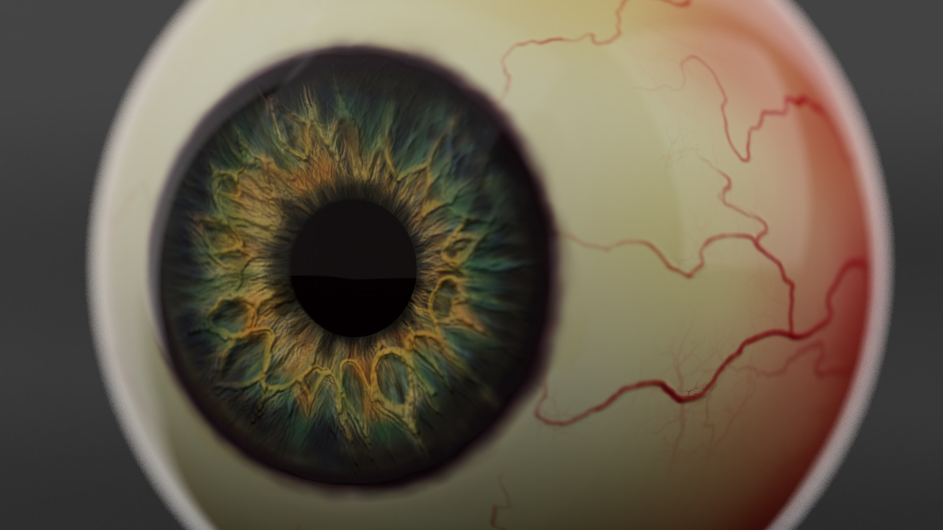 Human Eye 3D - TurboSquid 2167897