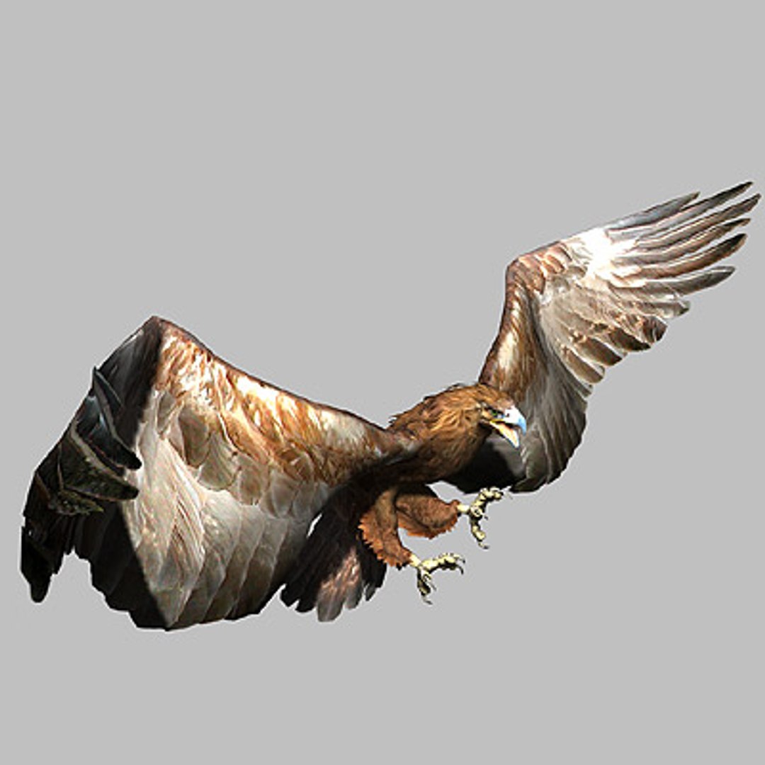 Golden Eagle 3d Model