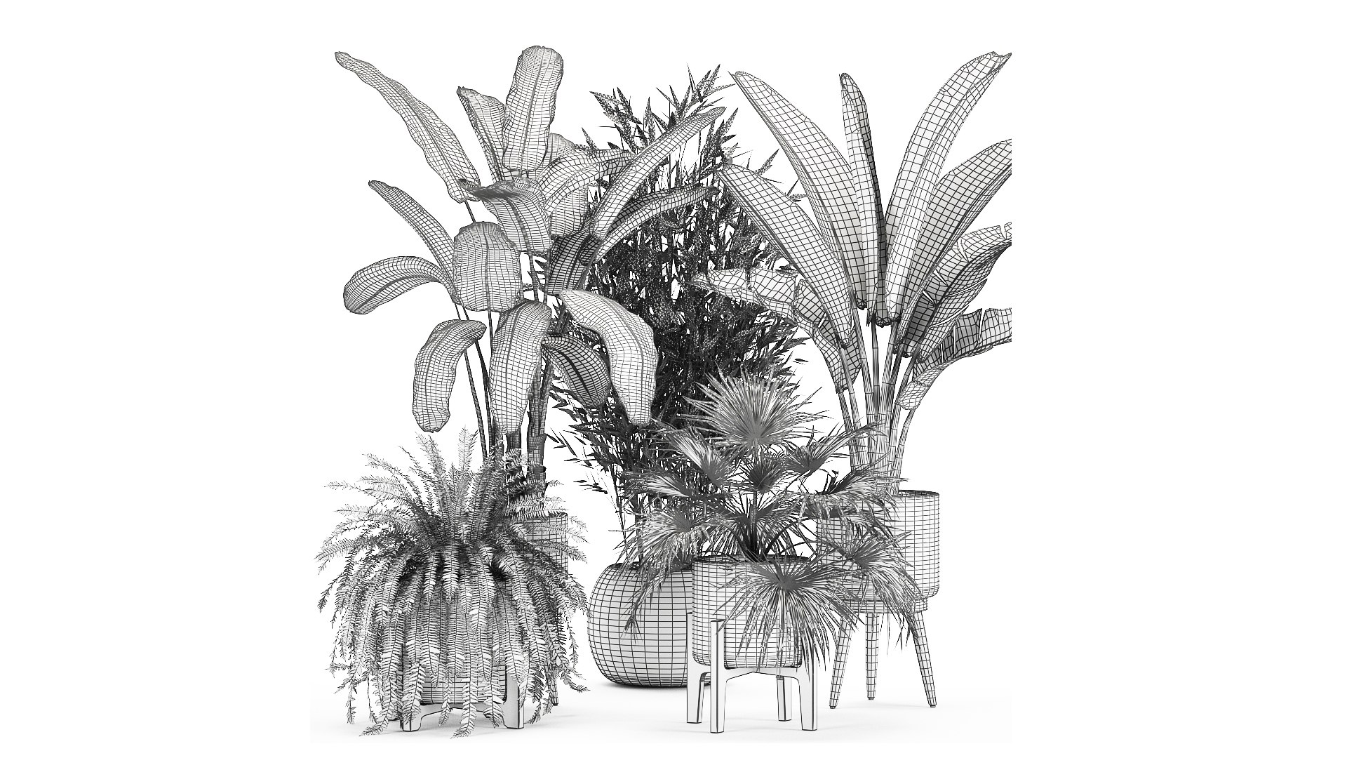 3D Ornamental plants in rattan baskets 1086 - TurboSquid 1831387