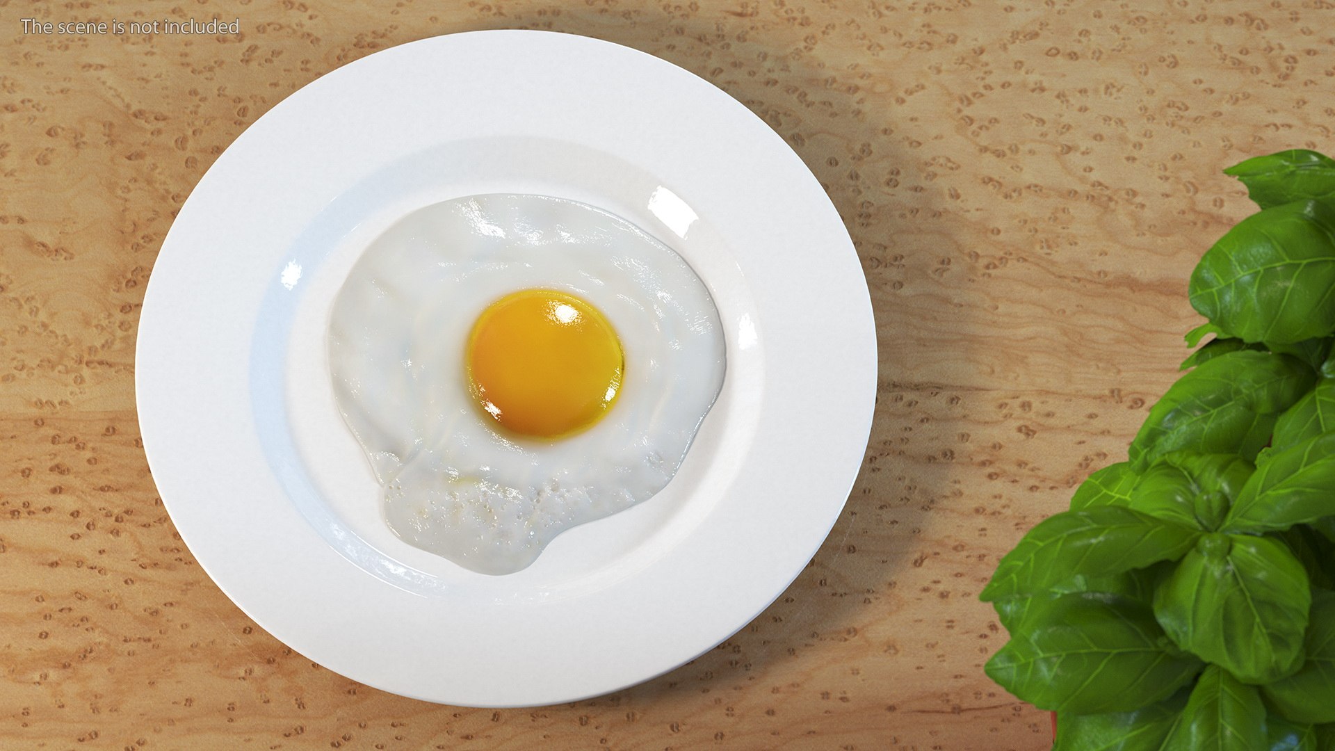 3D Model Fried Eggs On A Plate - TurboSquid 1819214