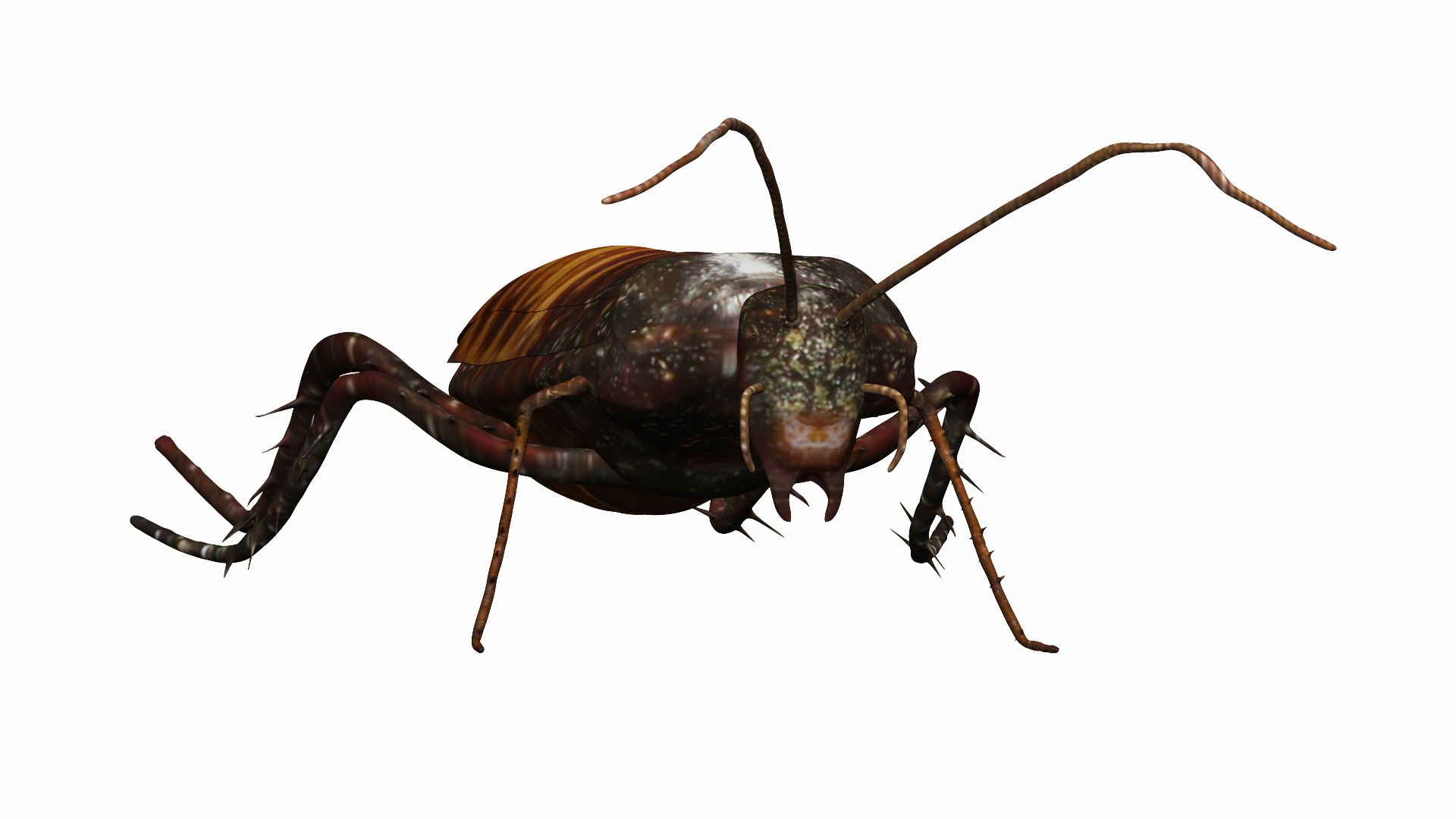 3D Cockroach And Bedbug Insect Collection - TurboSquid 1732987