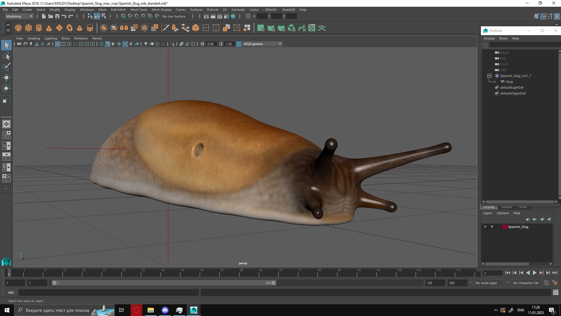 Spanish Slug 3D Model - TurboSquid 2016118
