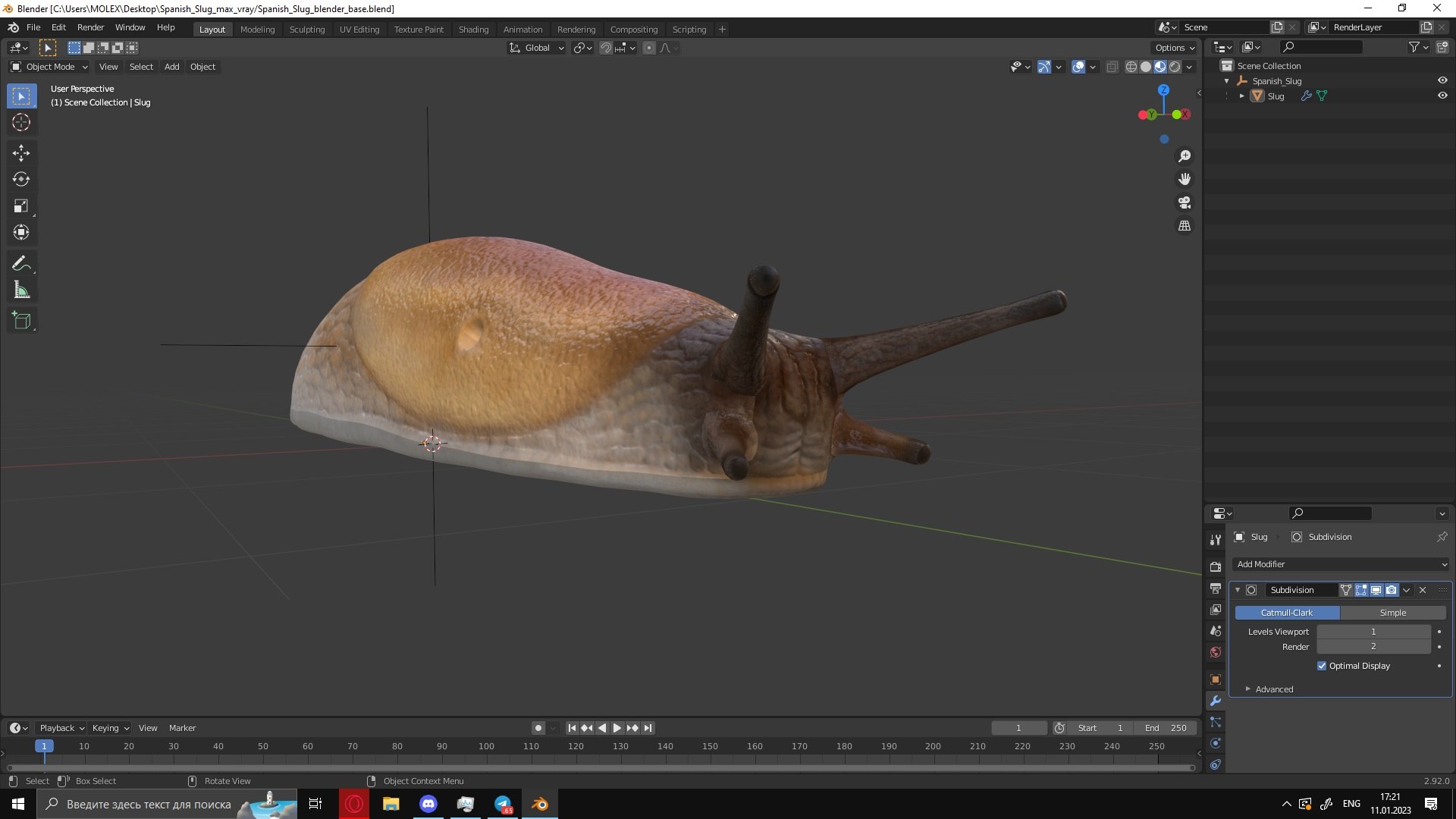 Spanish Slug 3D Model - TurboSquid 2016118