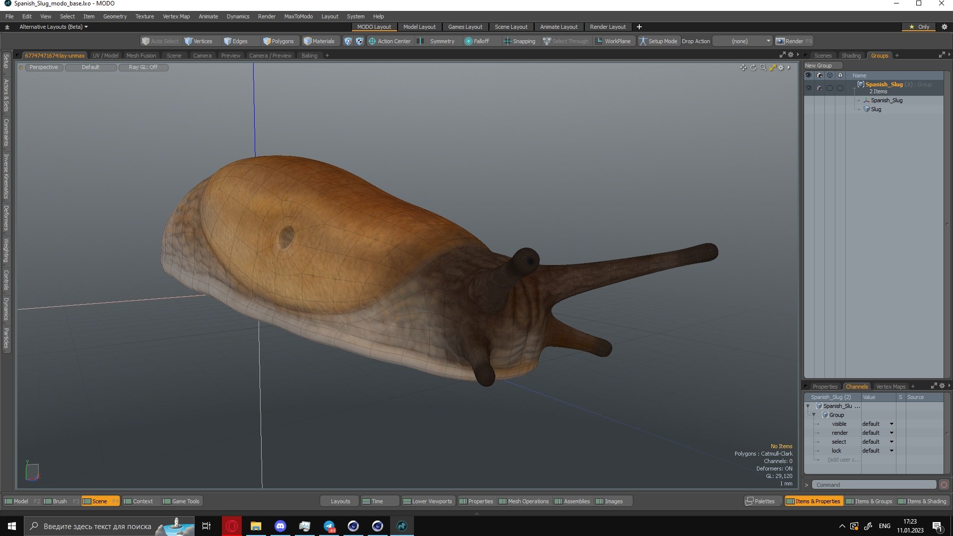 Spanish Slug 3D Model - TurboSquid 2016118
