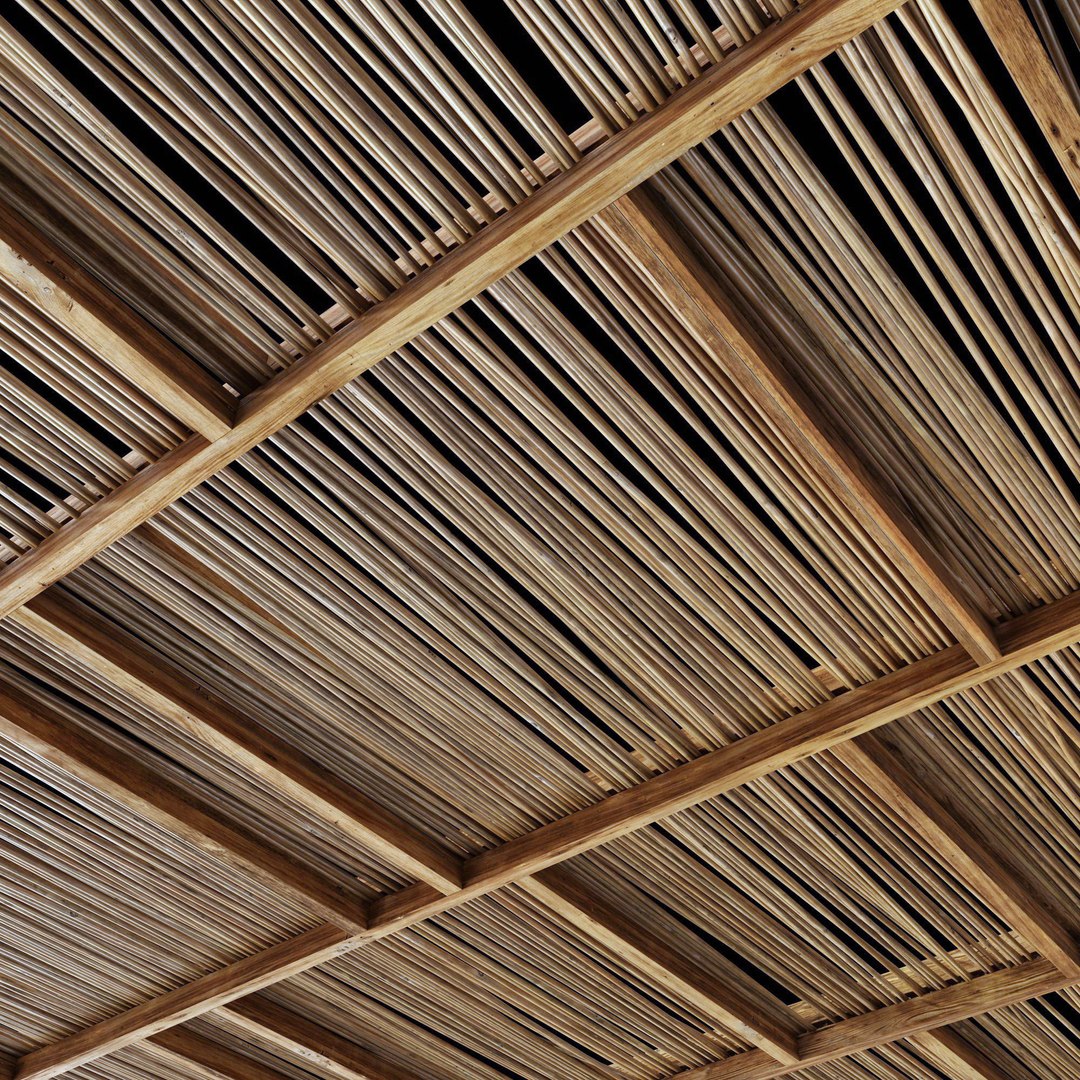 Ceiling Straight Thin Branch N4 Model - TurboSquid 1939640